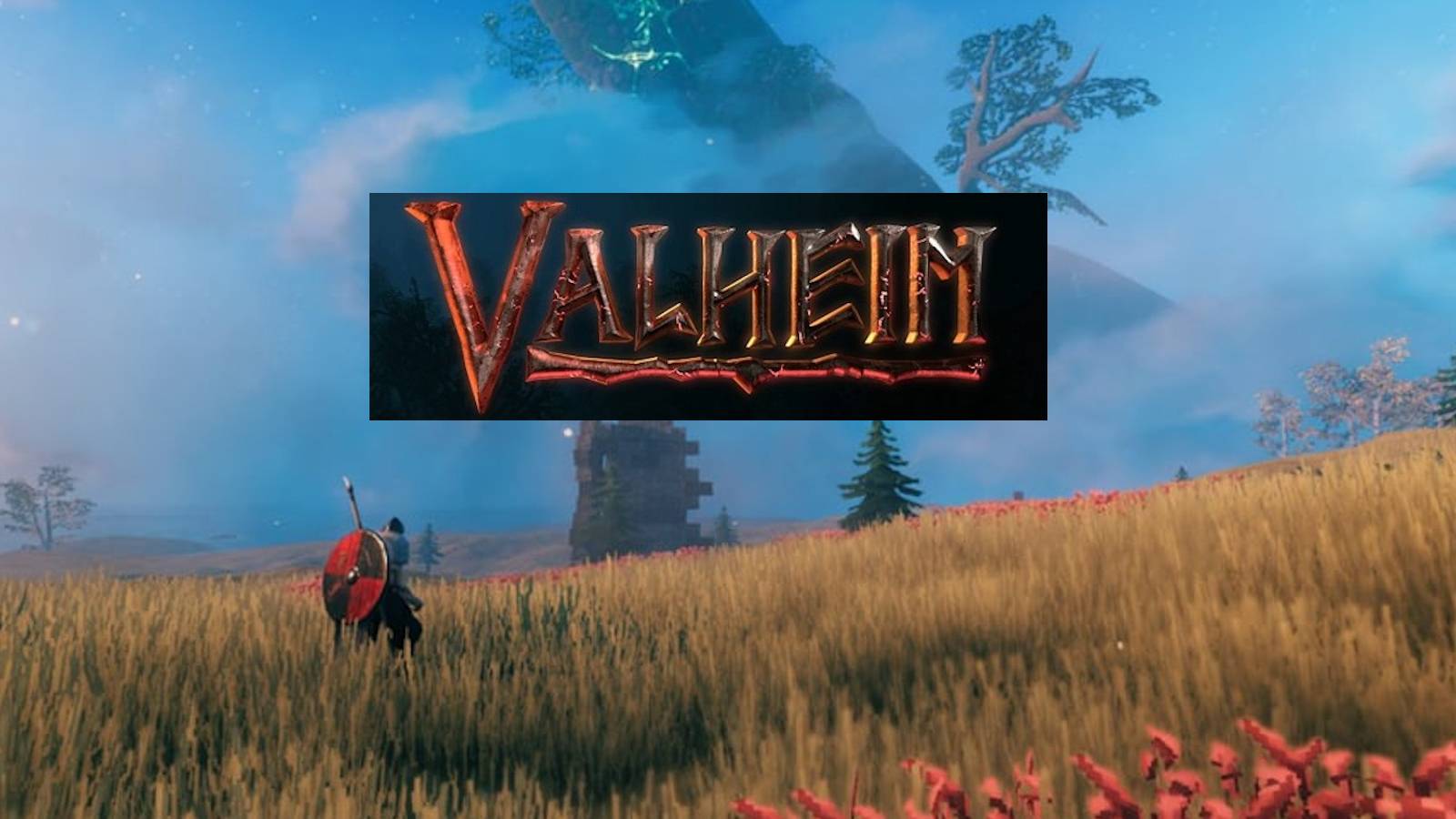 Valhiem: A Guide To The Plains Biome