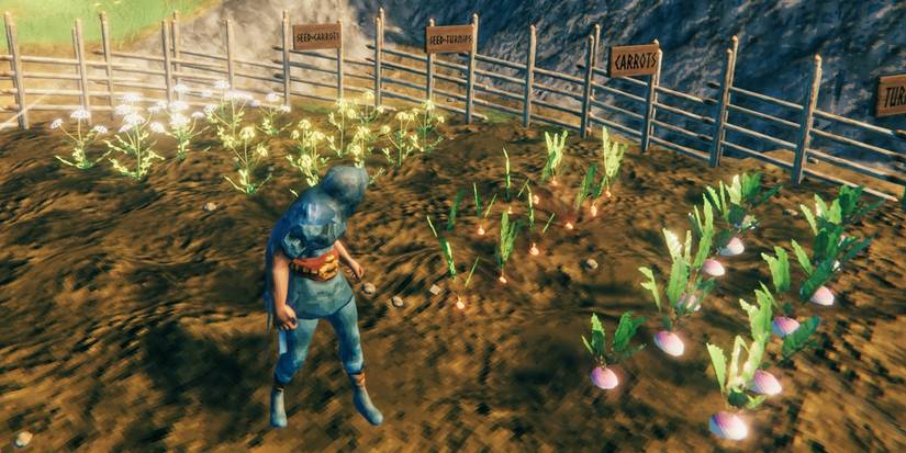 Tips For Creating The Best Farm In Valheim