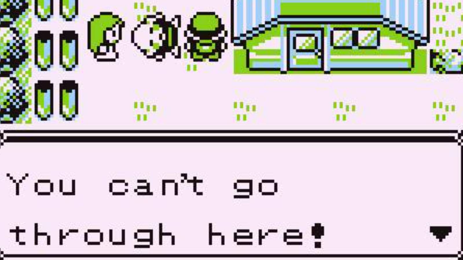 Thank You To The Old Man In Viridian City
