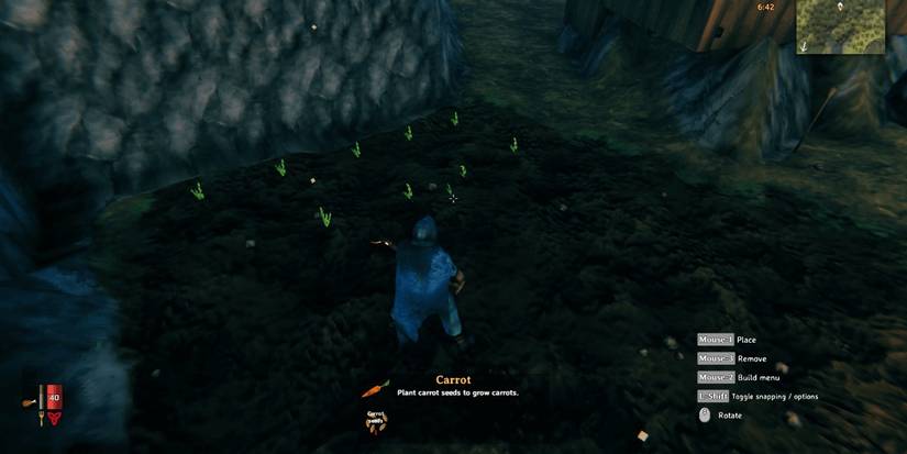 Tips For Creating The Best Farm In Valheim