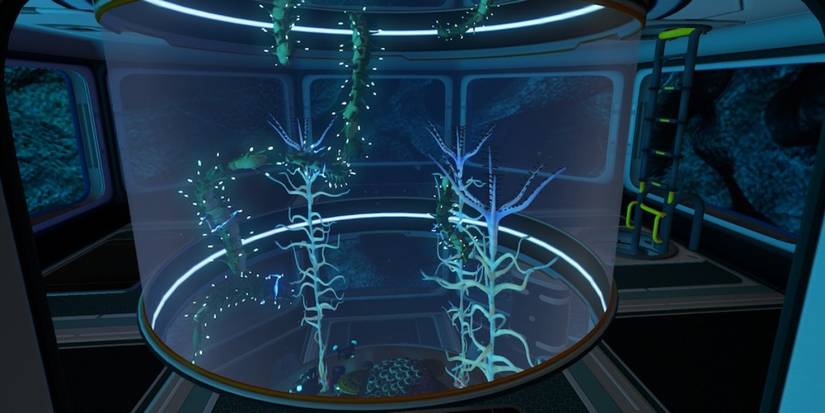 Every Creature Egg And Where To Find Them In Subnautica