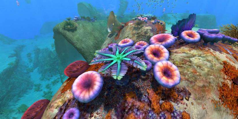 Subnautica: All Of The Growable Plants (And What They Give You)