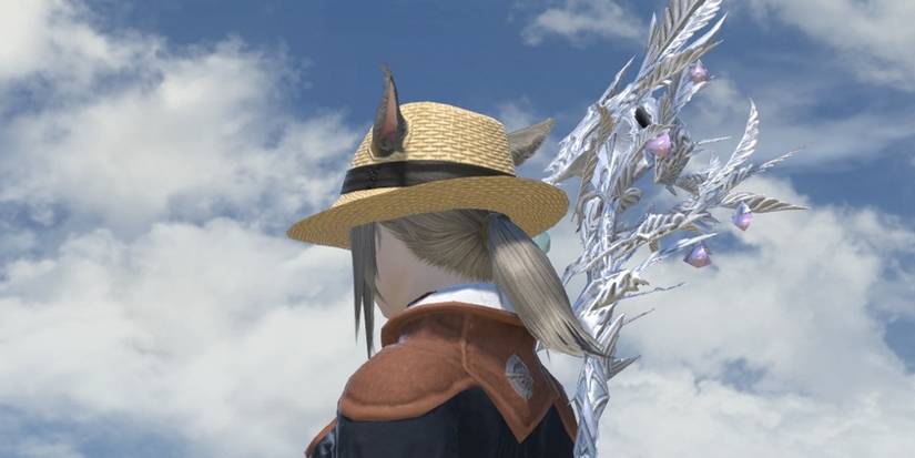 How To Get Every Unique Hairstyle In Final Fantasy XIV