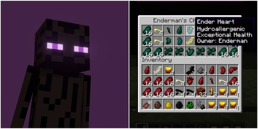 Minecraft: Everything You Need To Know About The Surgery Mod
