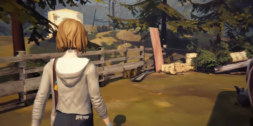 Life Is Strange: How To Get Every Optional Photo