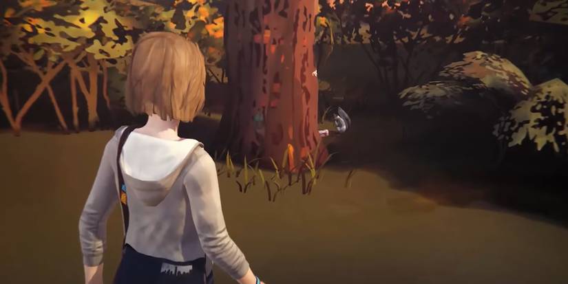 Life Is Strange: How To Get Every Optional Photo