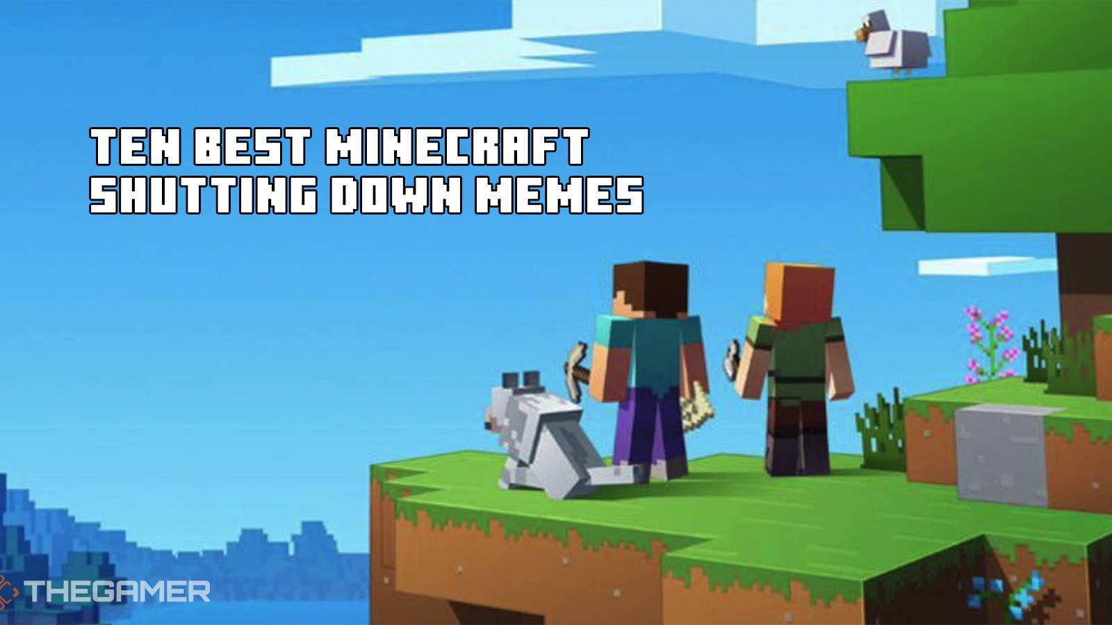 Memes De Minecraf