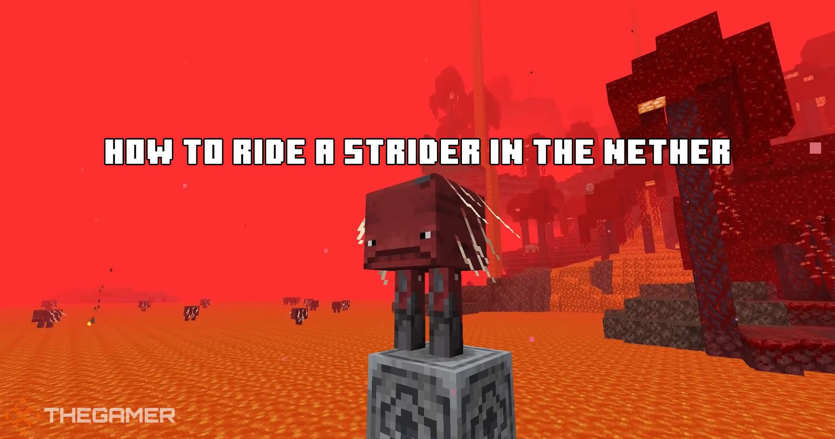 Minecraft: How To Ride A Strider In The Nether