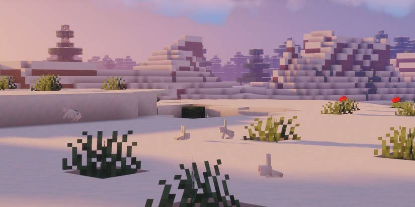 Hidden Details and Tricks About The Snow Biomes In Minecraft