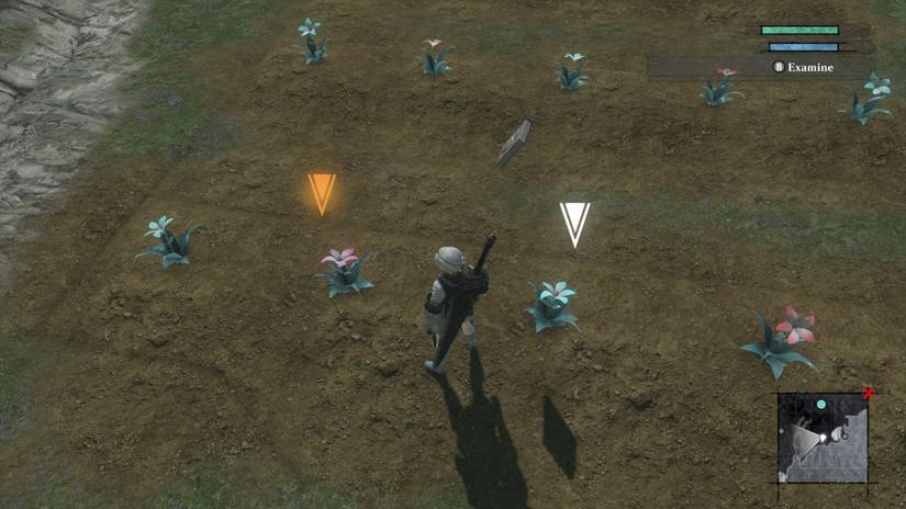How To Grow The White Moonflower Legendary Flower In Nier Replicant