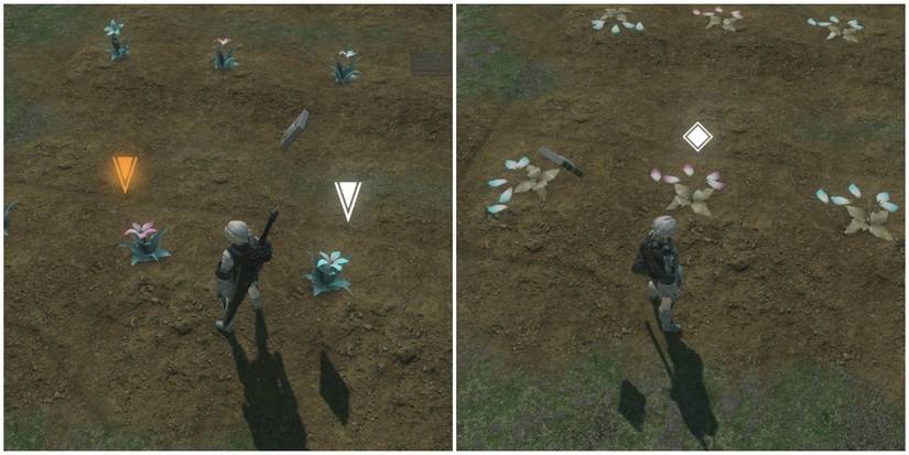 How To Time Travel In Nier Replicant To Grow Flowers