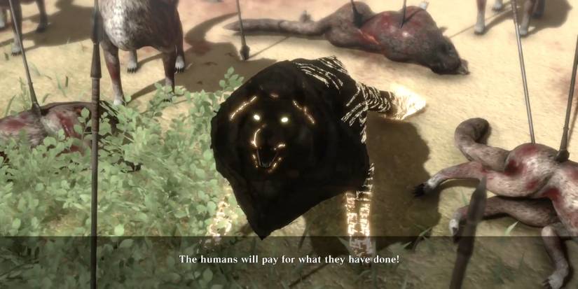 Nier Replicant: 10 Amazing Facts You Didn't Know About Shades