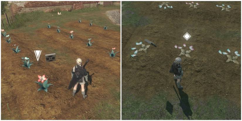How To Time Travel In Nier Replicant To Grow Flowers