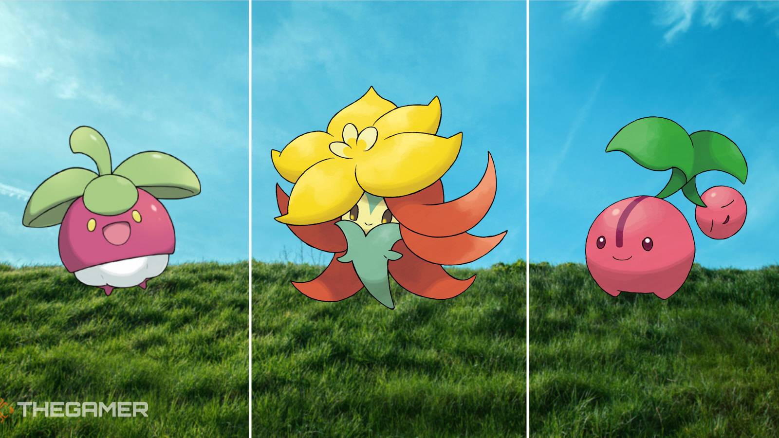 cherubi evolution sword