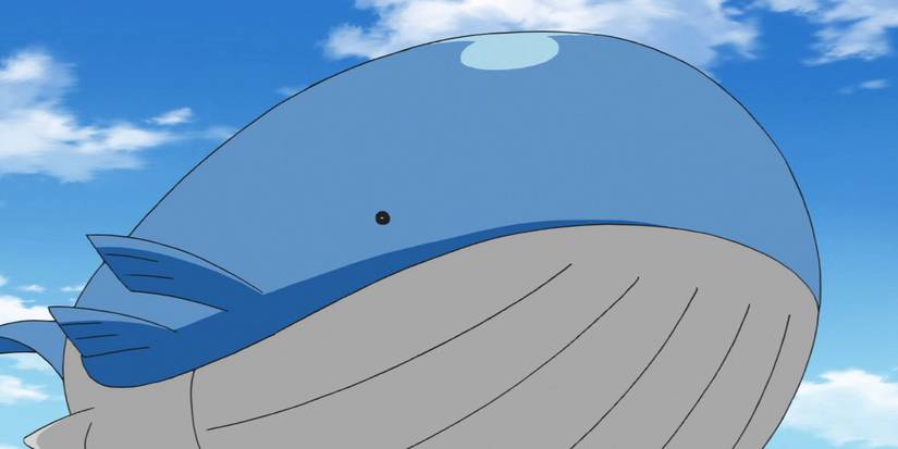 The Best Large Pokemon