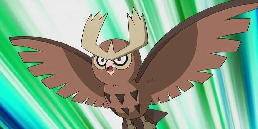 noctowl type