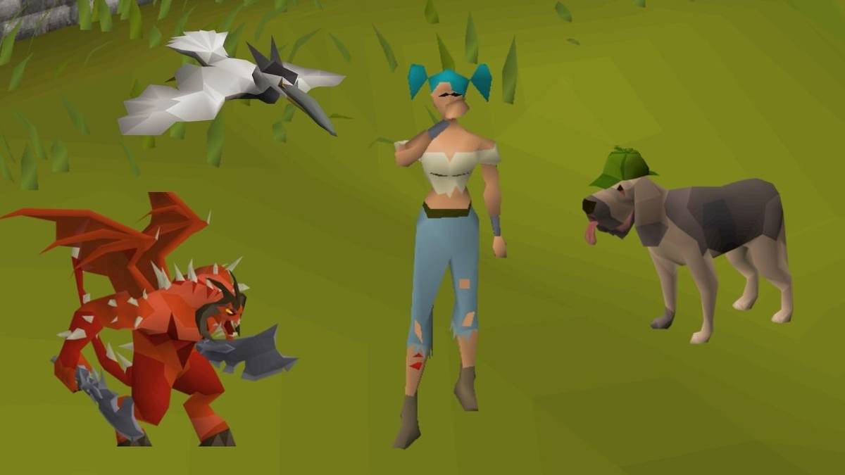 Old School RuneScape: The 10 Rarest Pets To Obtain