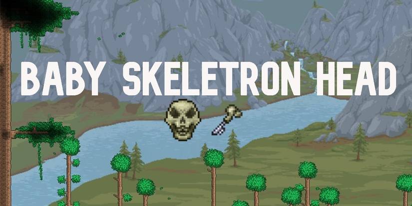 Rarest Pets In Terraria