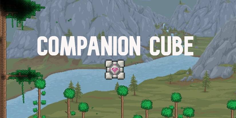 Rarest Pets In Terraria