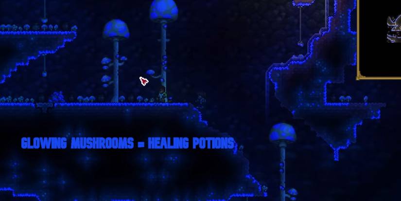 Terraria: Every Potion And What It Does