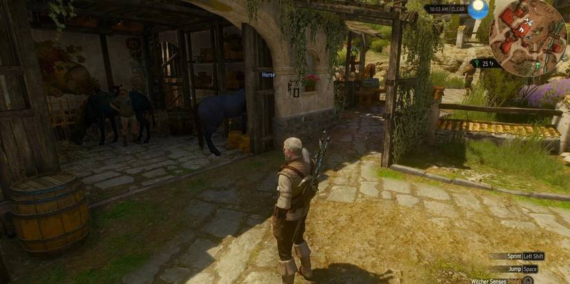 plotka witcher 3