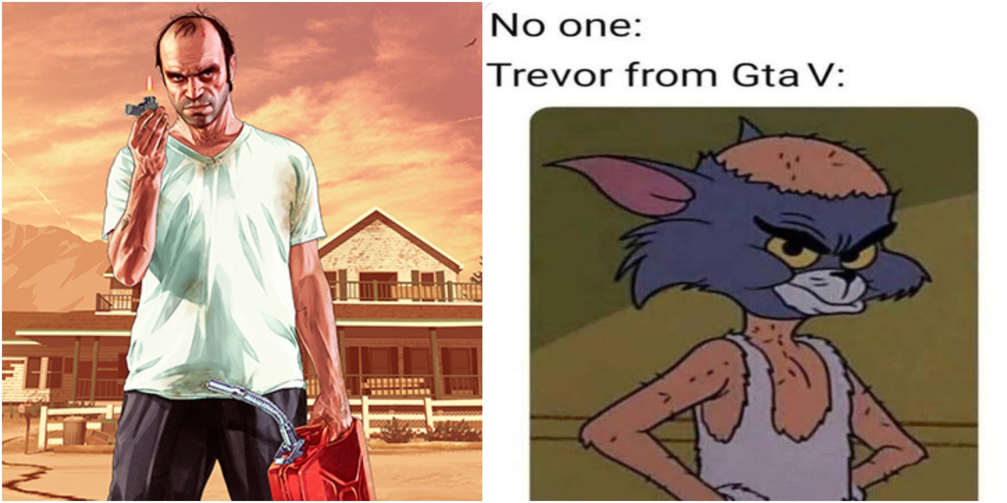 Gta Trevor Funny Quotes