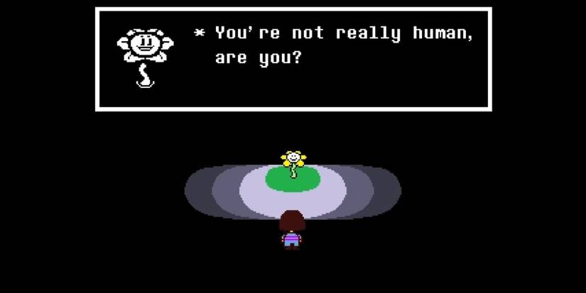 Undertale: Differences In Flowey Interactions Between Pacifist And ...