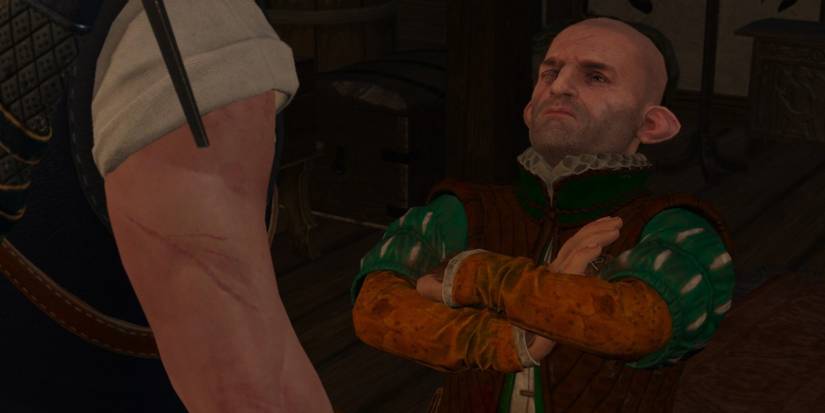 The Witcher 3: Geralt's Allies Ranked By How They Help Him Find Ciri