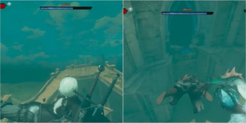 The Witcher 3 Blood And Wine: Turn And Face The Strange Quest Guide