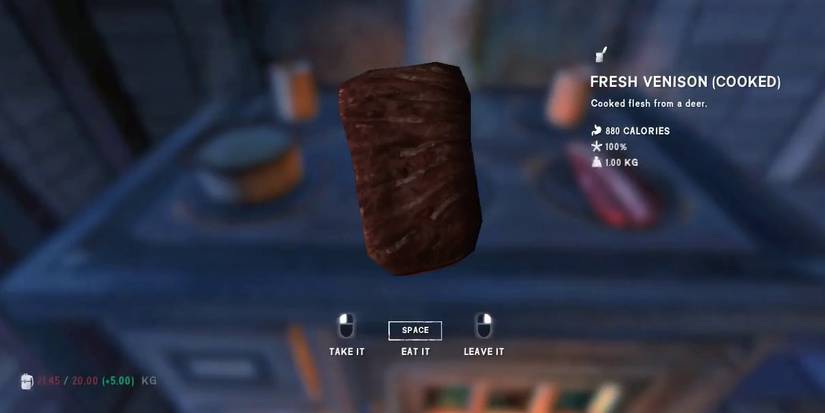 The Long Dark: Tips For Beginners