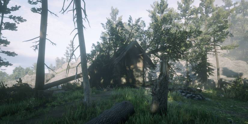 Red Dead Redemption 2: 10 Best Locations In Ambarino