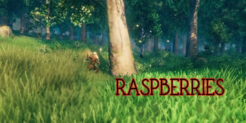 Valheim: Everything Boars Eat And How To Get Them