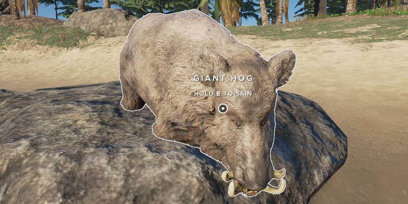 Stranded Deep: All Land Creatures