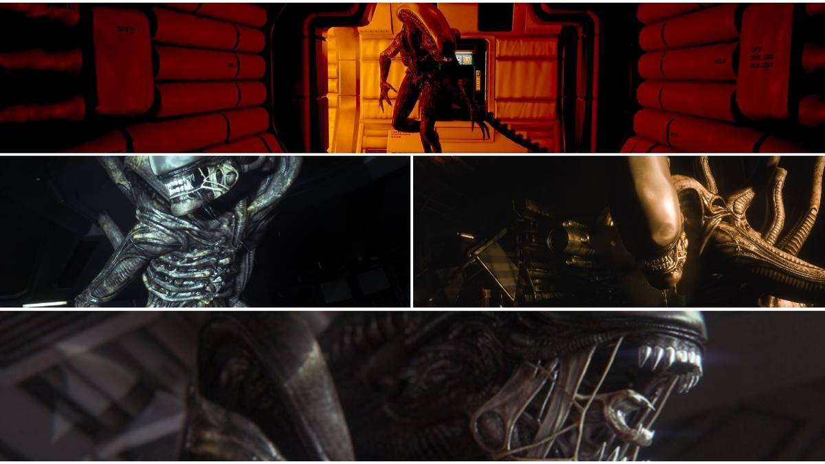 The Perfect Organism: 7 Terrifyingly Amazing Facts About Alien ...