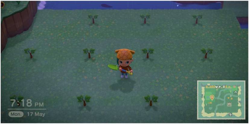How To Design A Fruit Orchard In ACNH