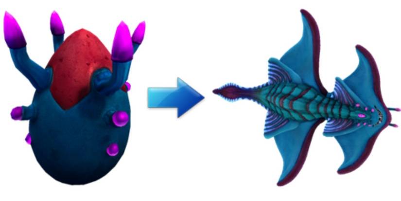 Subnautica Below Zero: A Complete Guide To Eggs