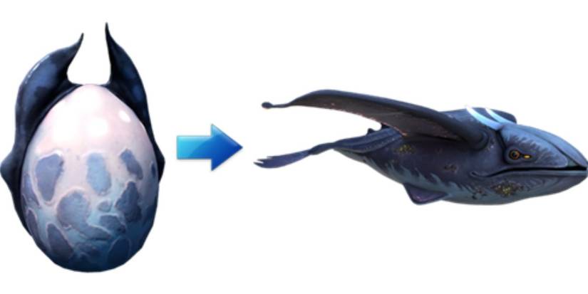 Subnautica Below Zero: A Complete Guide To Eggs