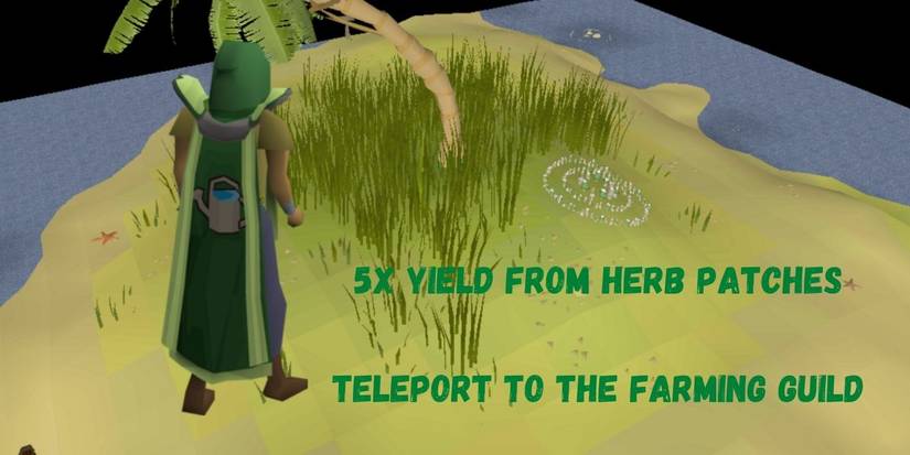 Old School Runescape: 10 Best Cape Perks