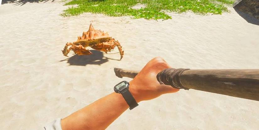 Stranded Deep: All Land Creatures