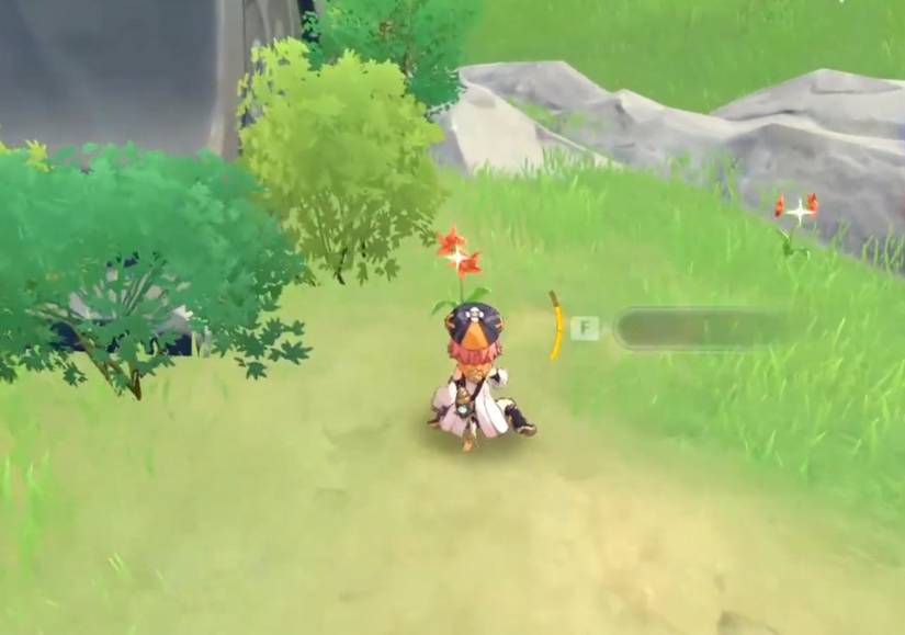 Genshin Impact: Windwheel Aster Locations And Farming Routes