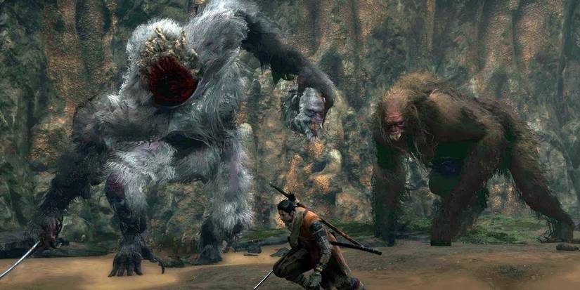 The Best Duo Bosses In FromSoftware Games, Ranked