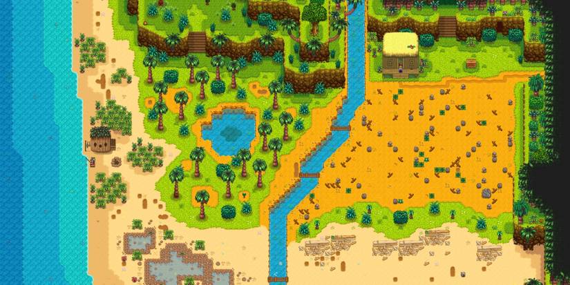 How to Complete The Pirate’s Wife Quest In Stardew Valley