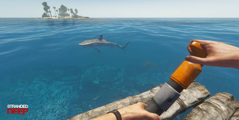 blacktip reef shark stranded deep