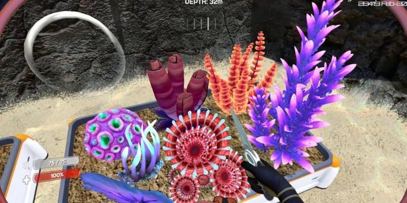 Subnautica: Every Resource That Respawns