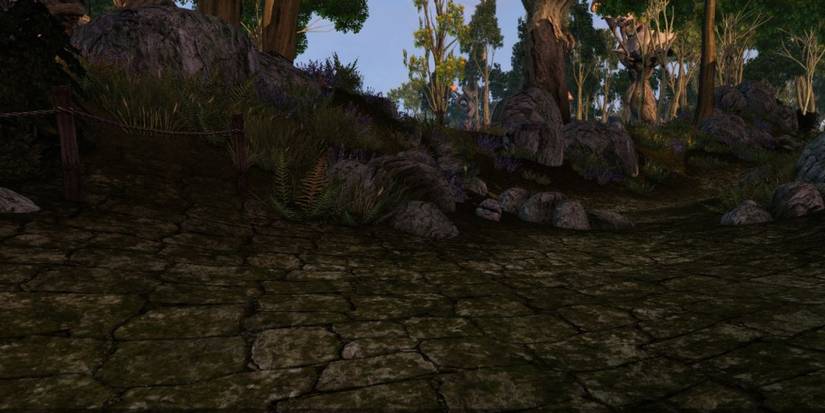 Morrowind: 15 Best Graphics Mods That Completely Revamp The Game In 2022