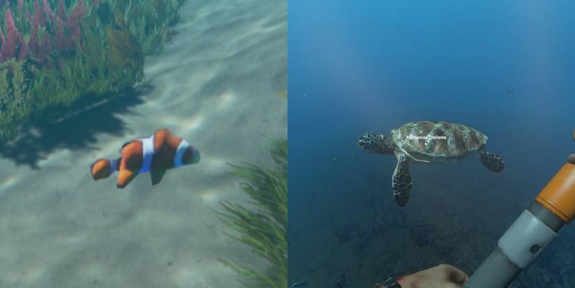 Stranded Deep: All Aquatic Creatures