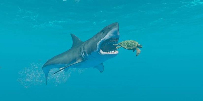 Stranded Deep: Where To Find And How To Use The Pipi Plant