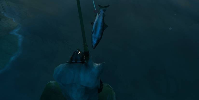 Valheim: Everything You Need To Know About Fishing
