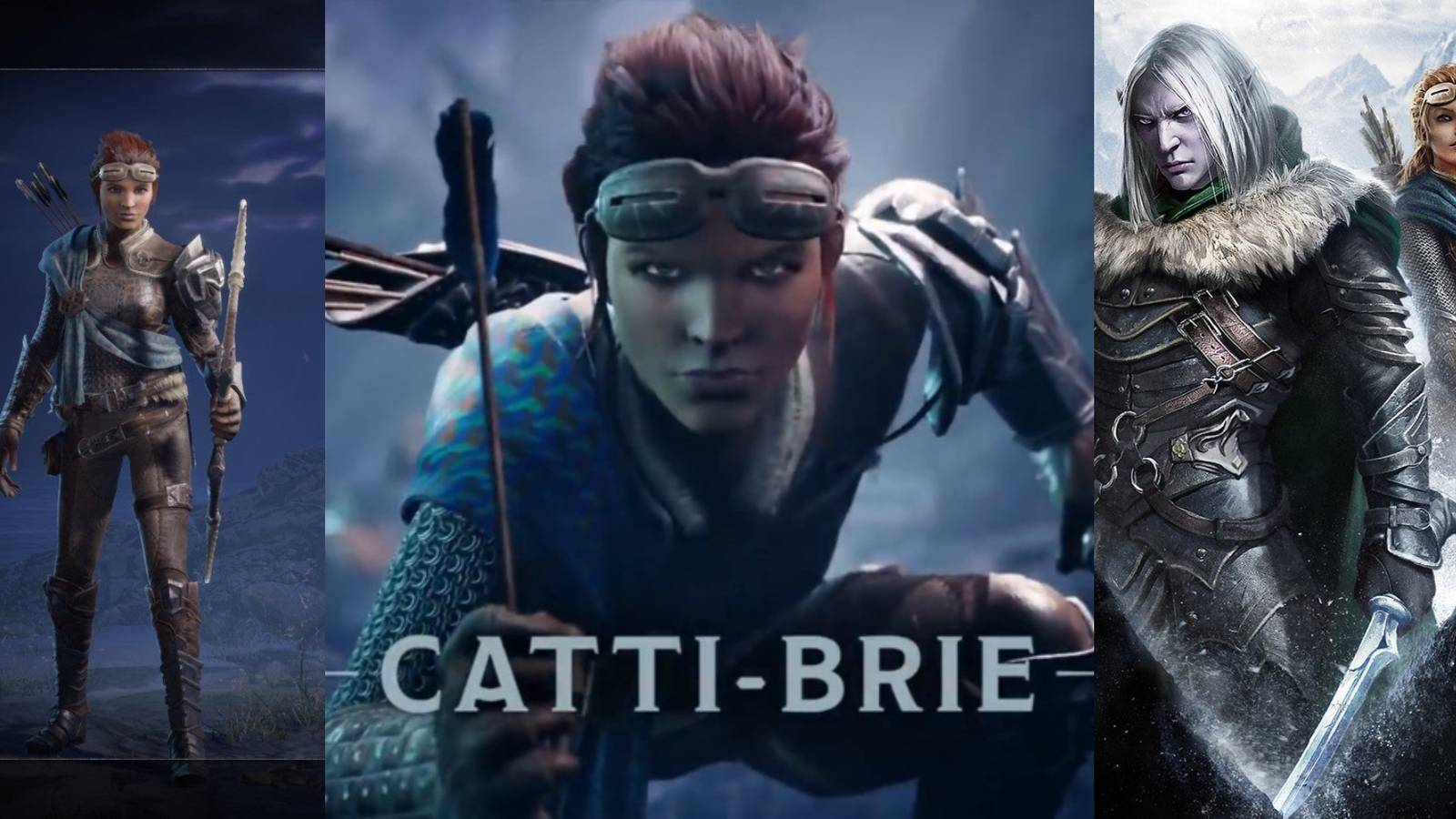 Dungeons & Dragons: Dark Alliance – Weird Facts About Catti-brie
