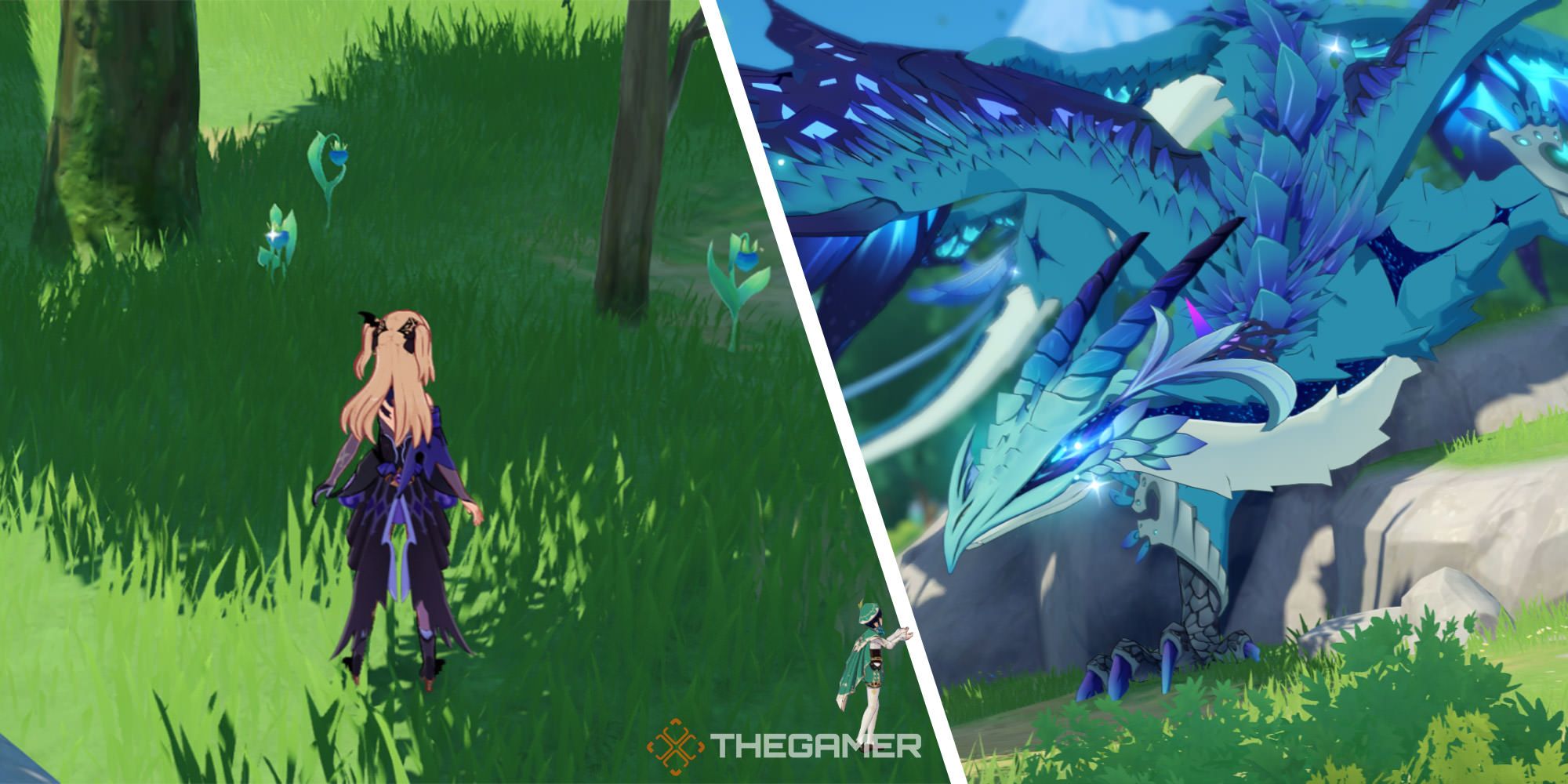 Genshin Impact: Diluc Ascension And Talent Materials